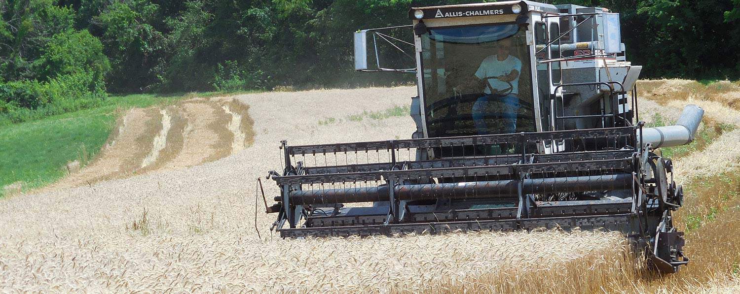 From Seed to Flour • Weatherbury Farm • SW of Pittsburgh